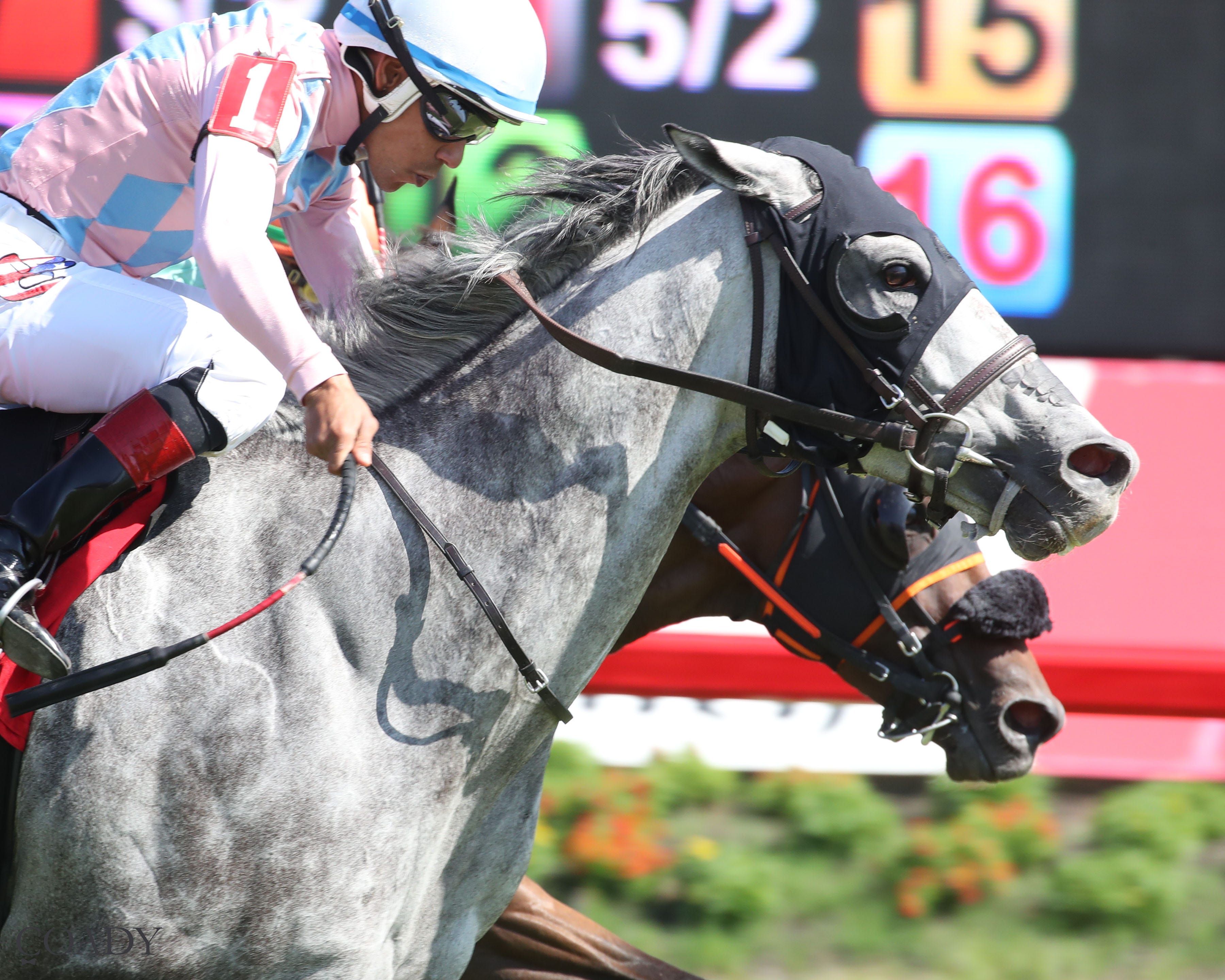 Witty wins Van Clief, Hollywood Walk takes Andy Guest